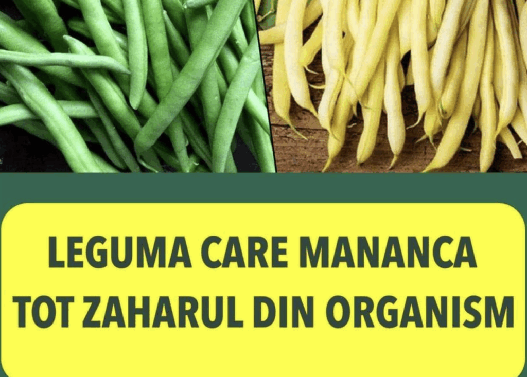 Leguma care mananca tot zaharul din organism. Beneficii nestiute pentru ...